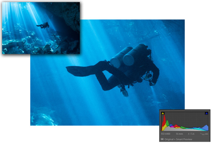 Sony a7R II High ISO Photos - In Focus Underwater Photography Blog